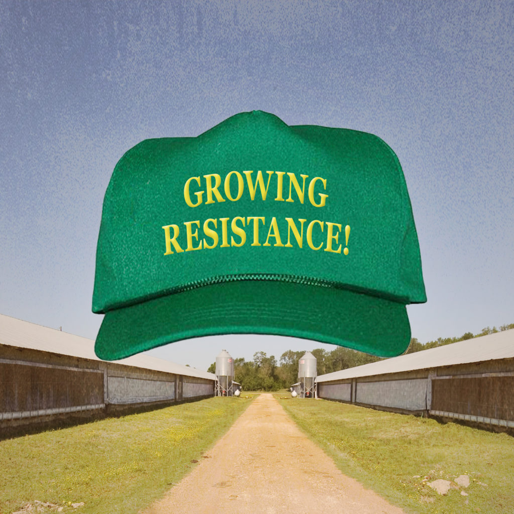 Corporate Accountability | Food Integrity CampaignFood Integrity Campaign