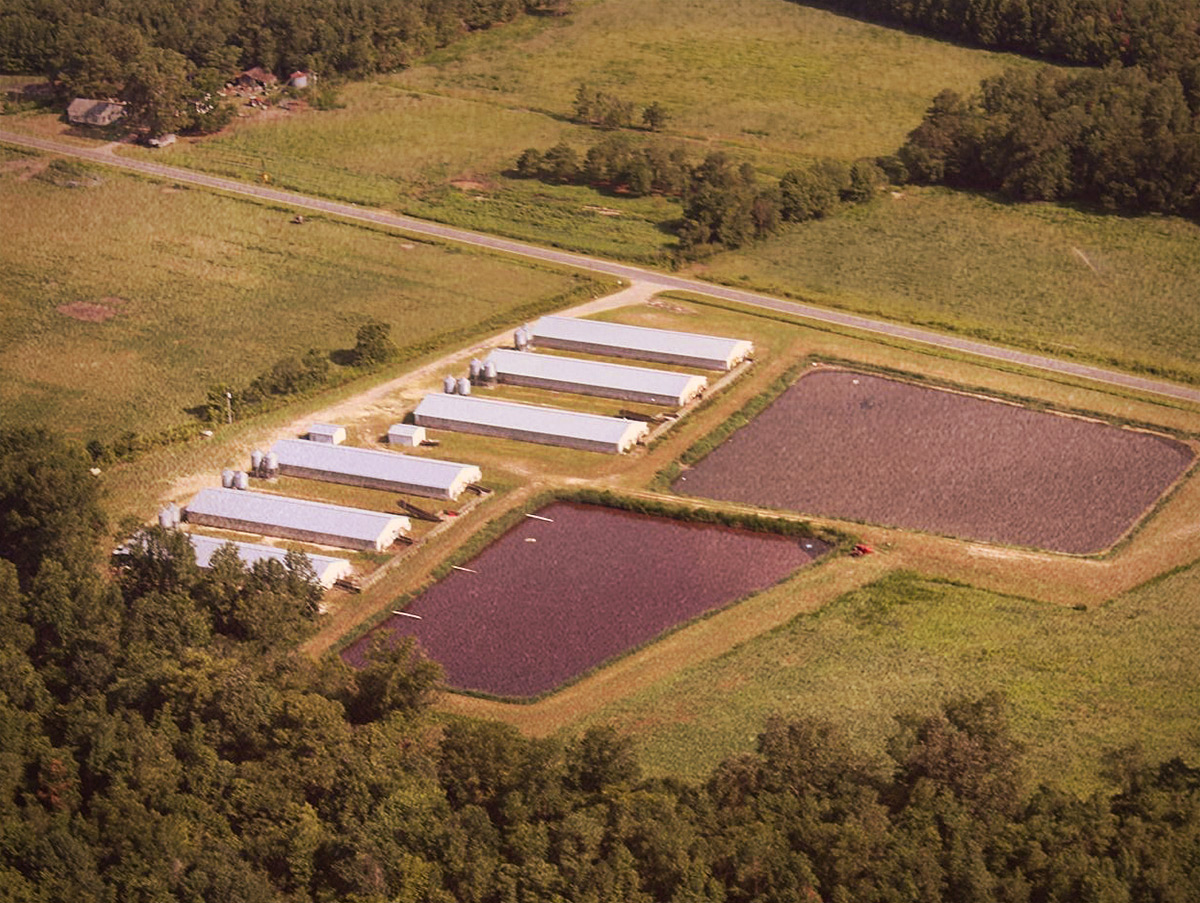 Factory Farm Gas Erodes Environmental Regulations in NC | Food ...