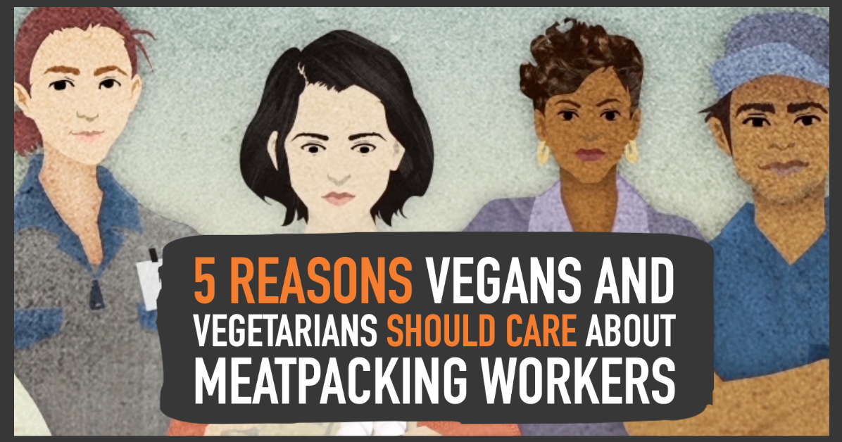 5 Reasons Why Vegans and Vegetarians Should Care About Meatpacking ...