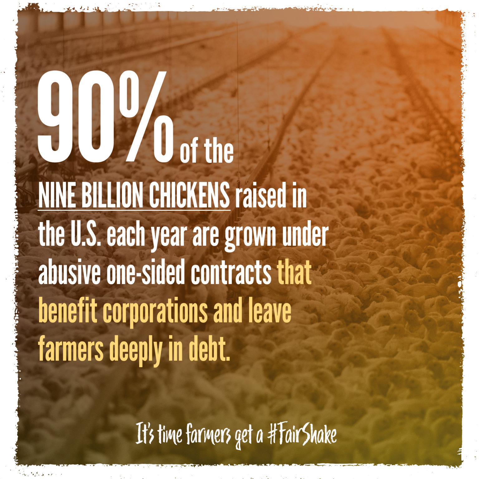 Visual: The Packers and Stockyards Act | Food Integrity CampaignFood ...