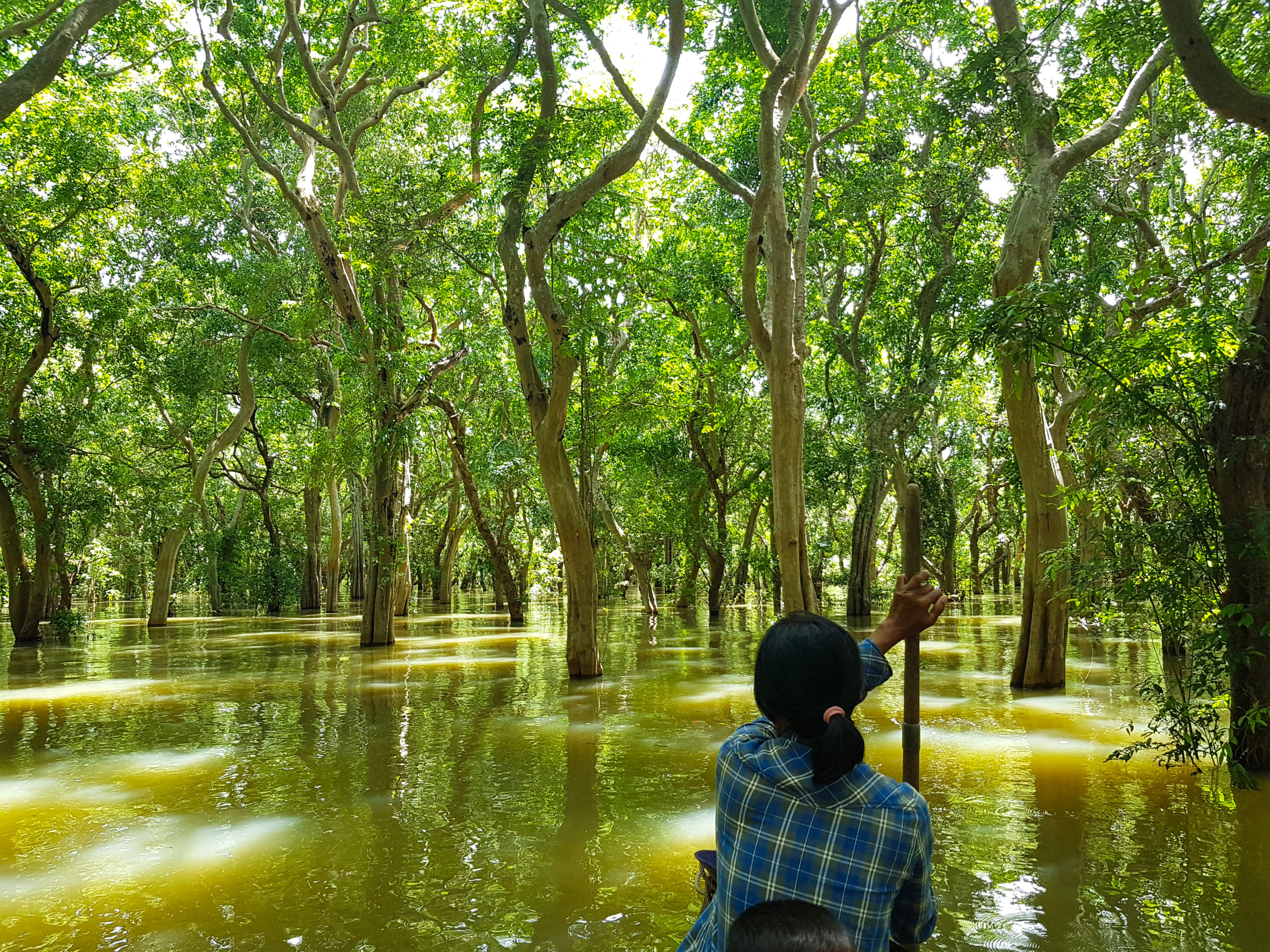 Lessons from Marine Environments on Feeding the World | Food Integrity ...